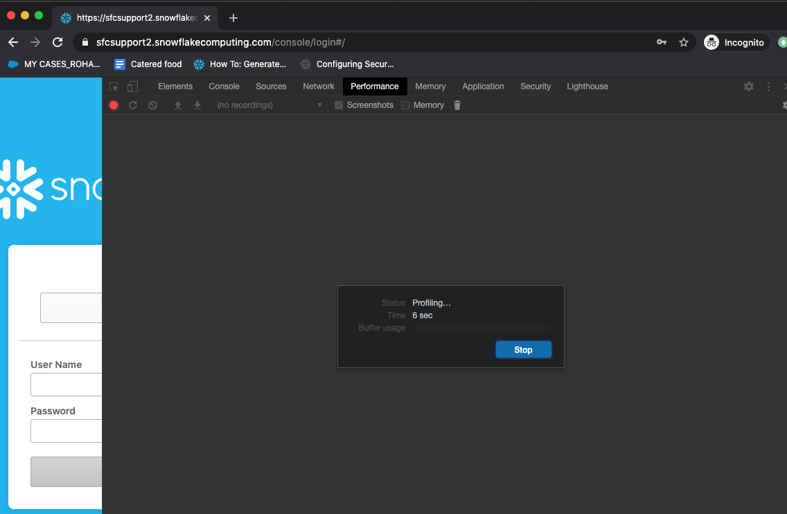 How To: Generate a Performance Profile in Chrome
