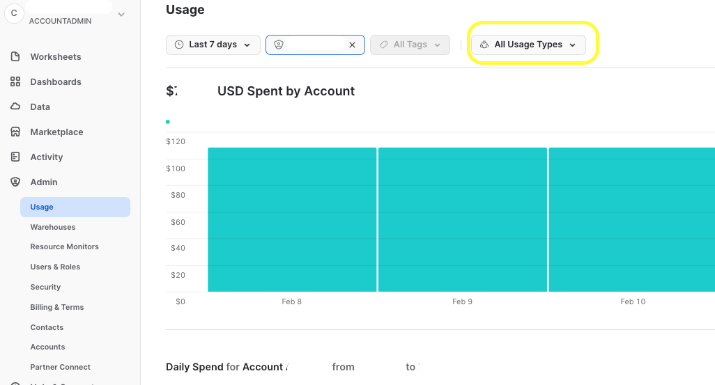 Display the dollar amount instead of the credit on the Account Usage page