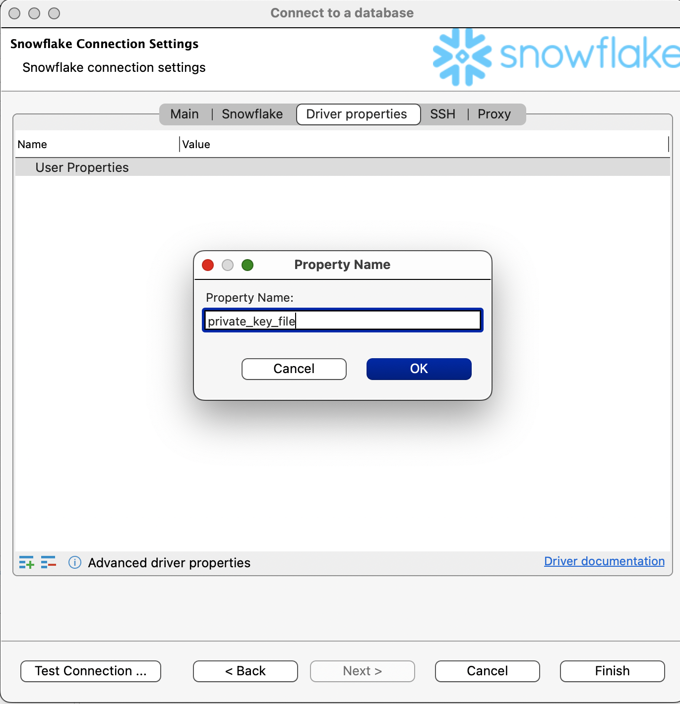 Using Private Key authentication in DBeaver