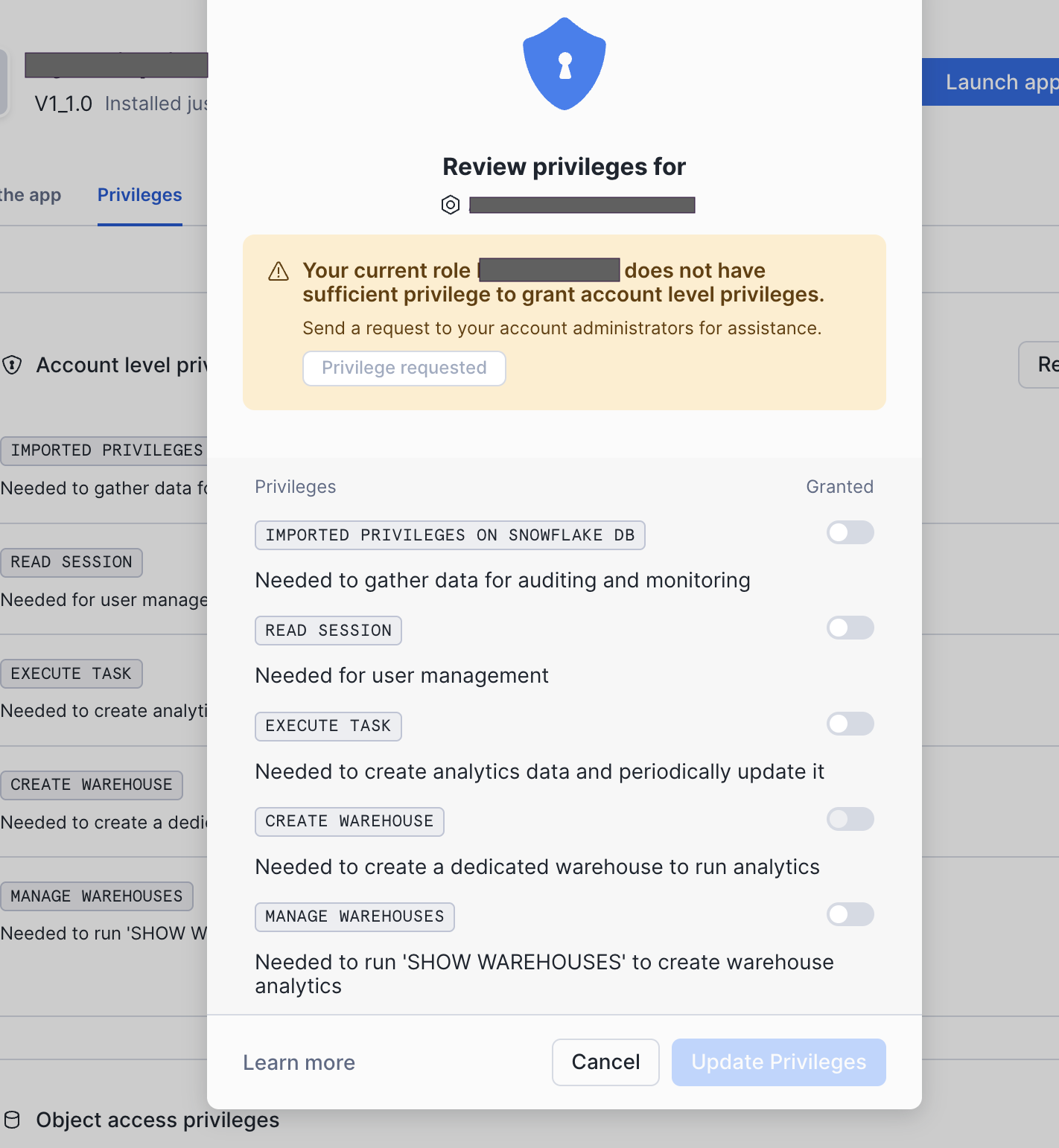 Custom roles cannot grant account level privileges to an application